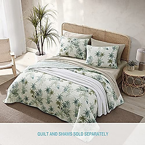 Tommy Bahama - Serenity Palm Collection - Quilt - 100% Cotton, Soft & Breathable for All Seasons, Pre-Washed for Added Comfort, Twin, Blue