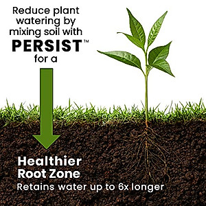 Persist Horticultural Charcoal, Biochar Soil Amendment for Indoor Plants, Improves Potting Soil for Indoor Plants & Terrariums, 100% Natural Active Carbon Organic House Plant Soil Enchancer 3qt Bag