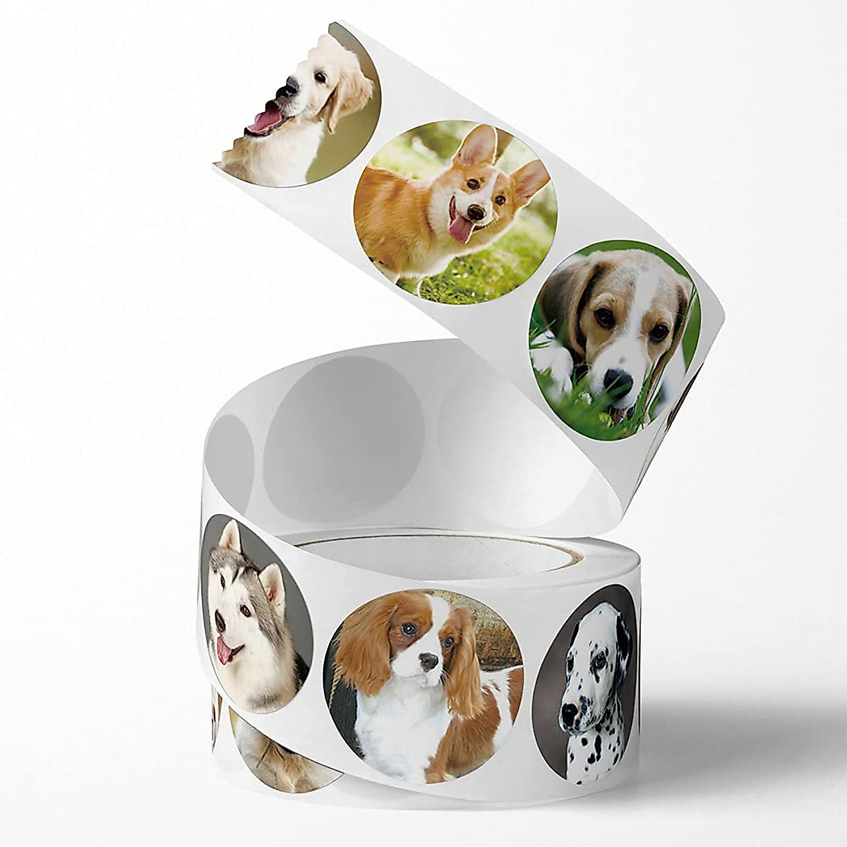 1000 Pieces Dog Stickers and Paw Print Stickers for Kids Puppy Stickers for Dog Birthday Party Supplies Decorations Adorable Labels Envelope Seal Reward Stickers 1 Inch Diameter in 14 Designs