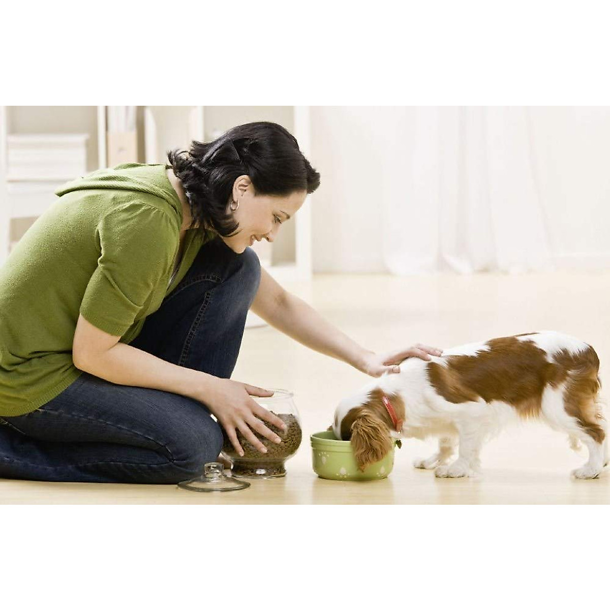 I LOVE MY PETS LLC Dog Digestive Supplements - Digestive AID for Dogs - PET PROBIOTIC Beef Liver Dog Treats - 120 Treats (2 Bottles)