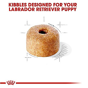 Royal Canin Breed Health Nutrition Labrador Retriever Puppy Dry Dog Food, 30 lb.