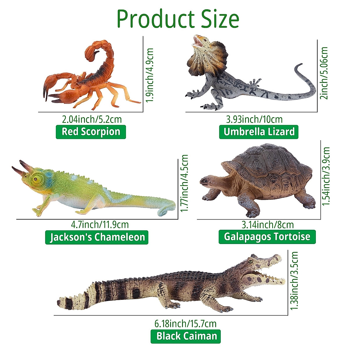 Toymany Reptile Animal Figurine Toys Set, 12 PCS Desert Amphibians Animal Figures with Komodo Dragon Lizard Snake Chameleon Rainforest Cold Blooded Animals Figures Party Favor for Kids