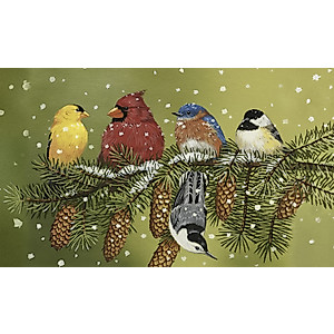 Toland Home Garden 800093 Snowy Friends Winter Door Mat 18x30 Inch Bird Outdoor Doormat for Entryway Indoor Entrance