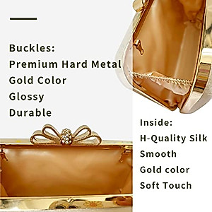 AININTON Women Embroidered Bag Silk Shoulder Bag Rectangle Handbag Champaign Gold Crossbody Bag with Pearl Chain for Wedding Party Banquet