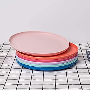 Durable and Reusable 9.75-inch Colored Plastic Dinner Plates set for Parties, Set of 6, Dishwasher Safe, BPA Free