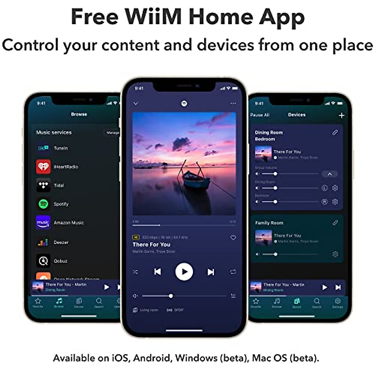WiiM Pro AirPlay 2 Receiver, Chromecast Audio, WiFi Multiroom Streamer, Compatible with Alexa, Siri and Google Assistant, Stream Hi-Res Audio from Spotify, Amazon Music, Tidal and More