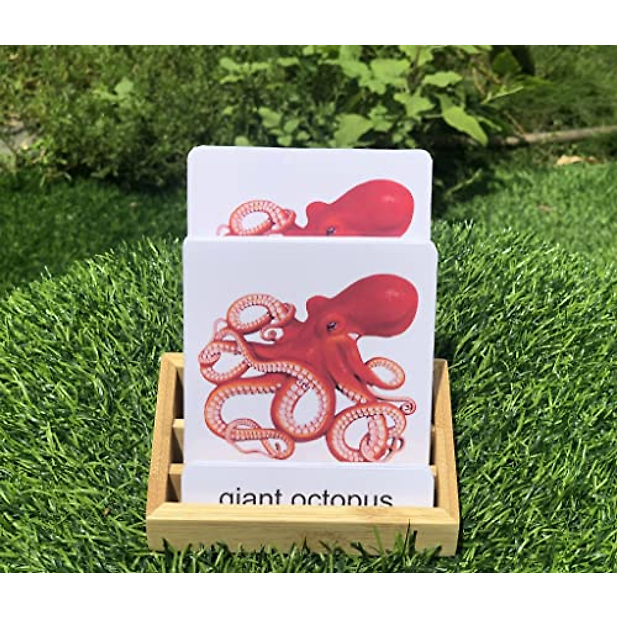 KIHACO 2 Sets Montessori Three Part Card Tray Montessori material The Holder for Montessori 3 Part Cards - NOT for Greeting Cards