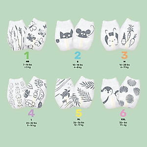 PARASOL Clear+Dry Disposable Diapers, RashShield Protection, Leakproof Design, Hypoallergenic, Size 1 (7-14 lbs), 160 Count