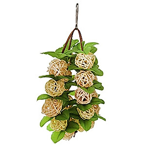 generic 1 String Chewing Chew Bird Pet Small Foraging Parrot Budgies Conures of Entertaining Lovebirds Macaws Lovebird Toys Cage for Conure Cockatiel Shredder Parakeet Toy Balls Plaything