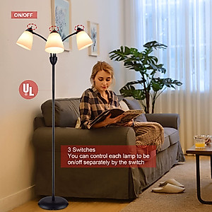 DINGLILIGHTING DLLT Modern Reading Floor Lamp, 3-Light with Adjustable Flexible Gooseneck Tree Standing Lamp for Living Room, Bedroom, Study Room, Office -Black Metal White Shades, E26 Base, UL