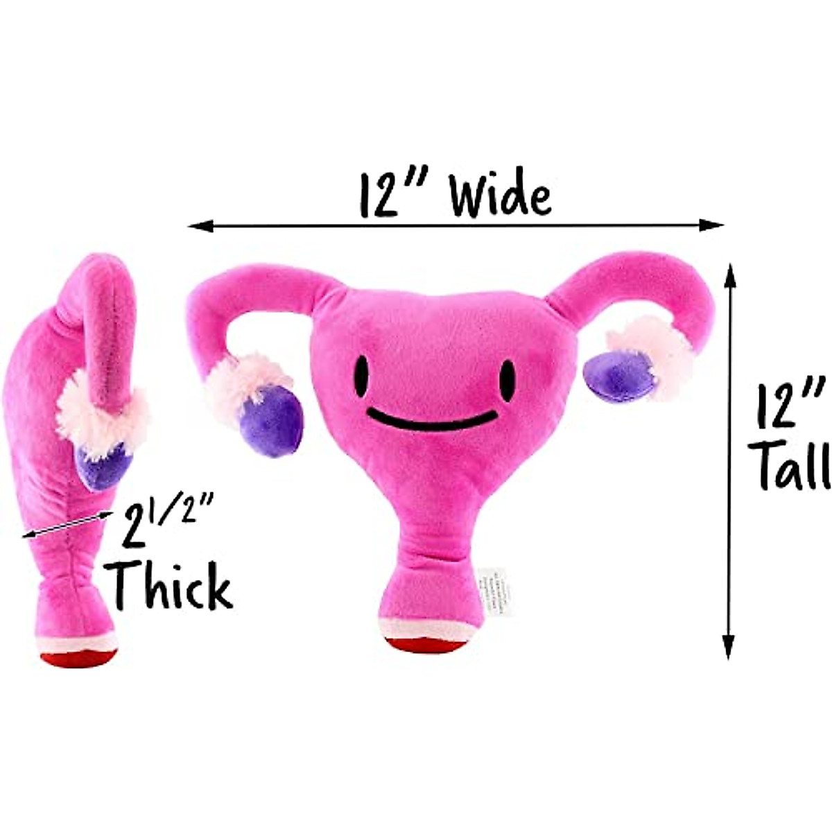 Attatoy Plush Uterus - Ivy The Uterus - Stuffed Toy, 12-Inch After Surgery Pal, Hysterectomy, Endometriosis, Fallopian Tubes, Ovaries