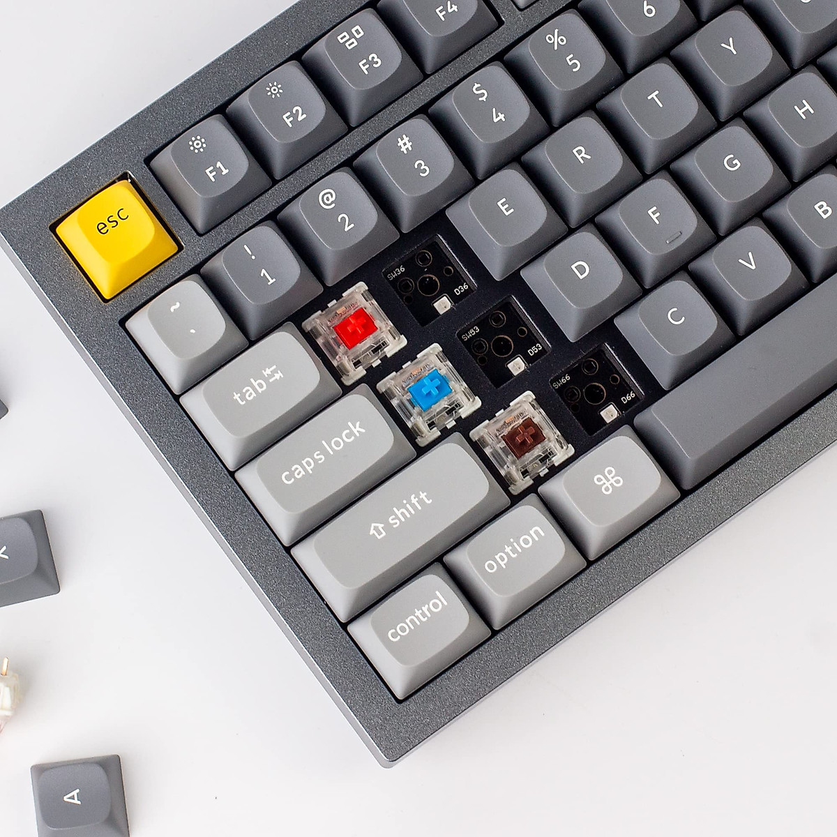 Keychron Q3 Wired Custom Mechanical Keyboard Knob Version, TKL QMK/VIA Programmable Macro with Hot-swappable Gateron G Pro Brown Switch Double Gasket Compatible with Mac Windows Linux (Grey)