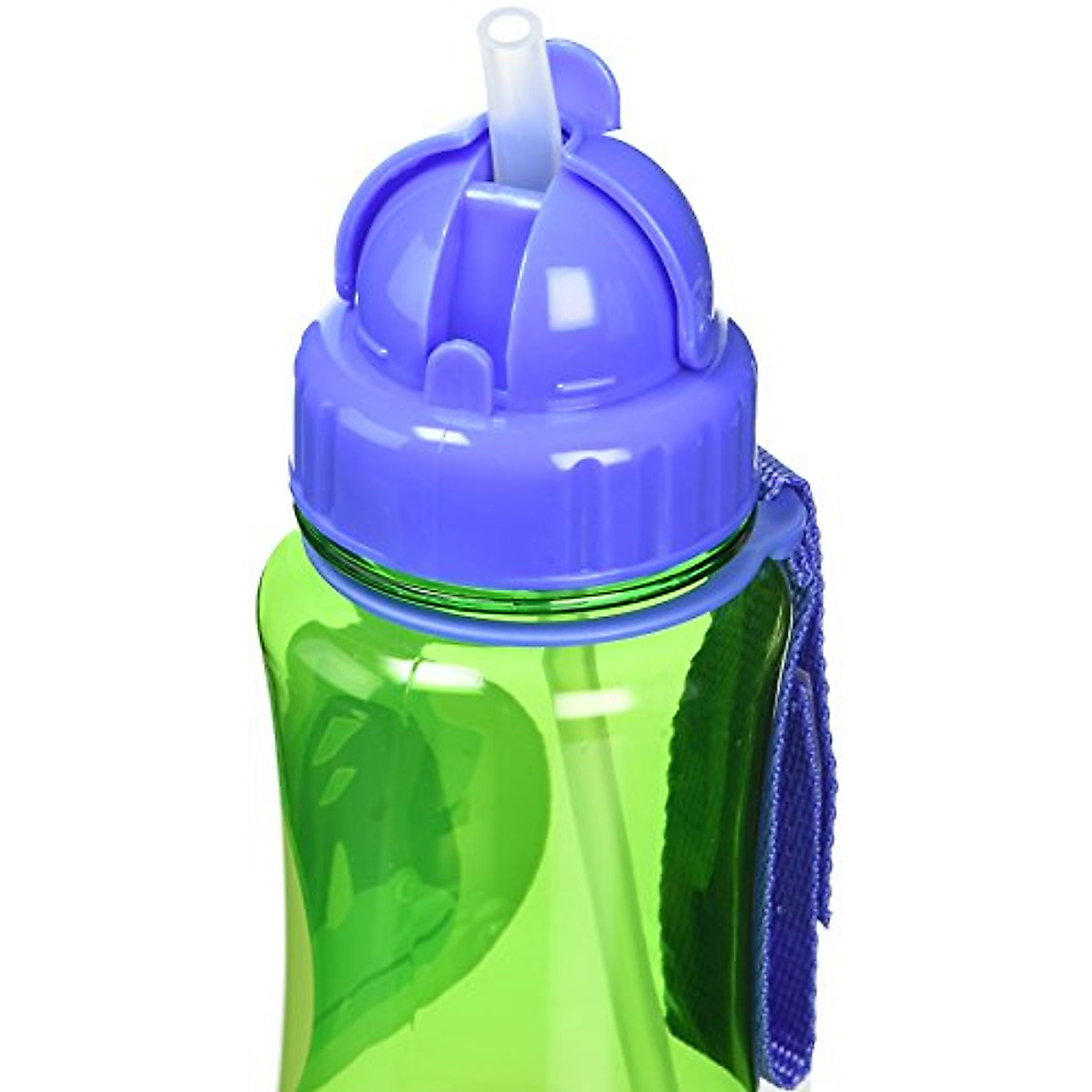 Skip Hop Toddler Sippy Cup with Straw, Zoo Straw Bottle, Dinosaur