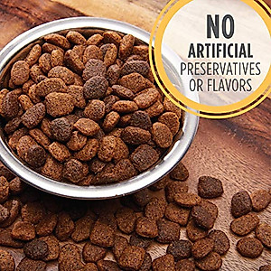 IAMS Smart Puppy Large Breed Dry Puppy Food with Real Chicken, 30.6 lb. Bag