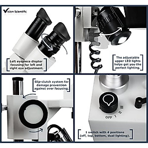 Vision Scientific VMS0002-LD-234-ES2 Binocular Stereo Microscope, WF10x and WF20x Eyepieces, 2X, 3X and 4X Objectives, 20x, 30x, 50x, 60x and 80x Magnification, Top and Bottom LED Illumination, 110V