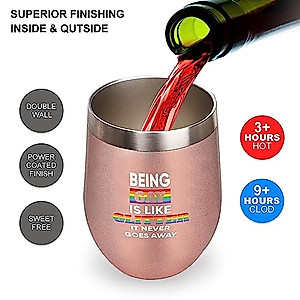 Mighun Being Gay Is Like Never Goes Away Wine Tumbler with Lid, Pansexual Bisexual LGBTQ Vacuum Coffee Tumbler, Gay Pride Stemless Insulated Wine Glasses Cup for Champaign, Cocktail, Beer