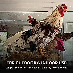 Bird Diaper, Wrap Around - for Hens, Roosters, Ducks, Leak-Proof Design, Comfortable Bird Harness with Sewn-in Liner, Secure Hook & Loop Closure - Large, Red Bandana