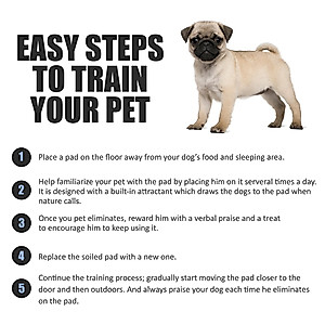 BV XL Puppy Pads X-Large Leak-Proof 28"x34" [40CT] | Pee Pads for Dogs Ultra Absorbent 6-Layer - Dog Pee Pads Extra Large - Dog Pads XL - Potty Pads for Dogs, Training Pads for Dogs, Dog Pad