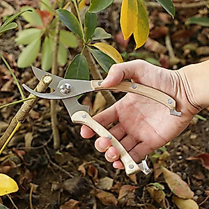 LIFVCNT Wood Handle Garden Shear Kit, Plant Pruning Scissors Garden Cutter Flower Shears Hand, Tree Trimmers Secateurs Clipping Shears for Gardening, Ergonomic Gardening Tools Gardener's Gift