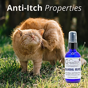 Glacier Peak Holistics Colloidal Silver - Natural Antibiotic Spray for Dogs & Cats, Internal & External for Anti-Itch and Infection in Pets - 2oz