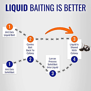 Terro Liquid Ant Bait Boxed 8 / Pack