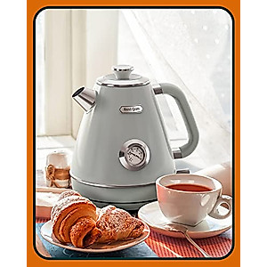Hazel Quinn Retro Electric Kettle - 1.7 Liters / 57.5 Ounces Tea Kettle with Thermometer, All Stainless Steel, Fast Boiling 1200 W, BPA-free, Cordless, Rotational Base, Automatic Shut Off - Ice Gray