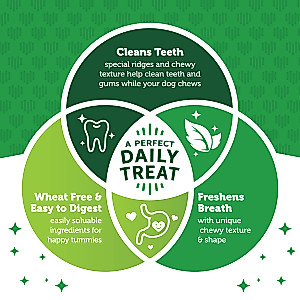 Dr. Dental Medium Fresh Chews Dental Dog Treats, Clear, 16 OZ