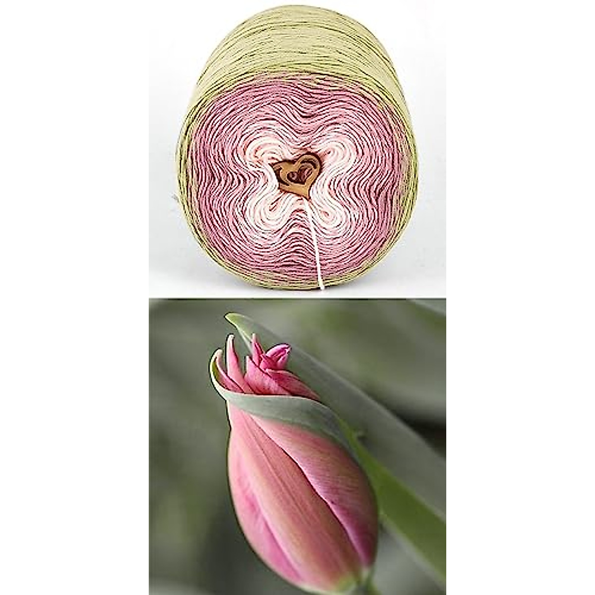 Stenli Yarns Candy (867)