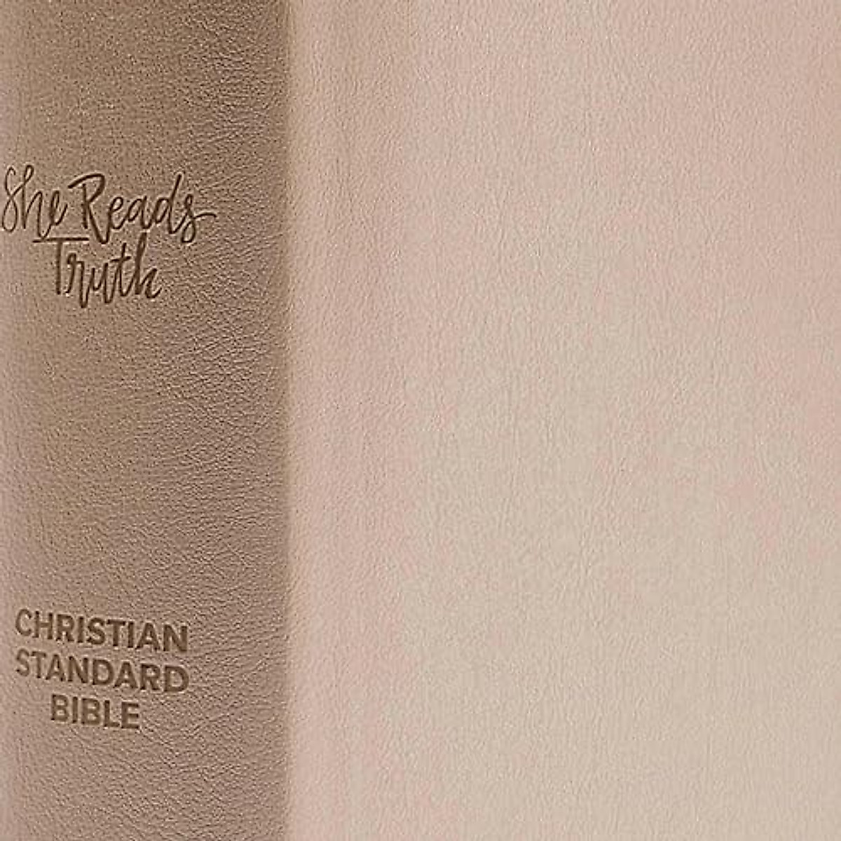 CSB She Reads Truth Bible, Champagne Gold LeatherTouch, Black Letter, Full-Color Design, Wide Margins, Journaling Space, Devotionals, Reading Plans, Single-Column, Easy-to-Read Bible Serif Type