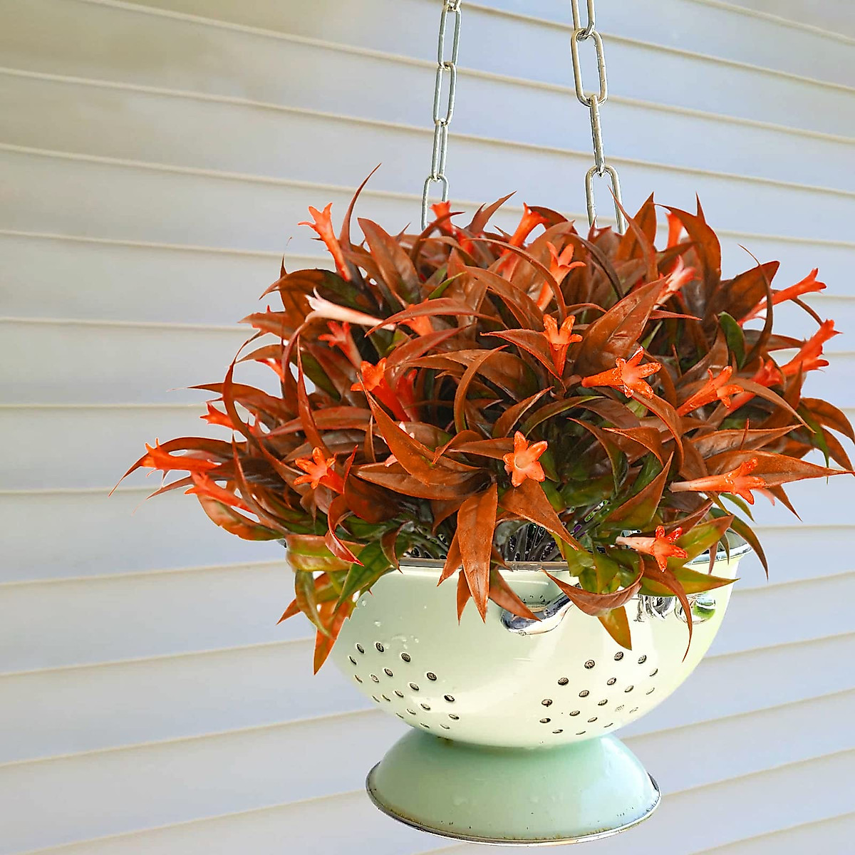 Uieke 6Pcs Outdoor Artificial Plants UV Resistant Fake Flowers Plastic Plants Morning Glory Greenery Shrubs for Outside Home Garden Patio Window Box Summer Fall Décor Red