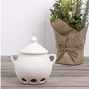 HIC Harold Import Co. Garlic Clove Keeper White Vented Ceramic Storage Container With Lid, 5.25" x 5.5"/16 oz