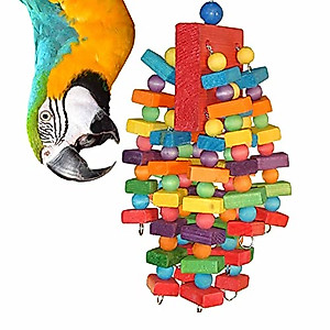 Super Bird Creations SB439 Beakasaurus Bird Toy, Large/XL Bird Size, 20" x 7" x 6"