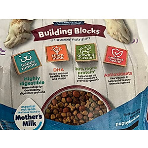 Purina Puppy Chow Tender & Crunchy with Real Beef & Rice *ONE Four* Pound Bag