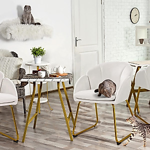 Yaheetech Flower Shape Velvet Armchair, Modern Side Chair Vanity Chair with Golden Metal Legs for Living Room/Dressing Room/Bedroom/Home Office/Kitchen, 2 Pieces, White