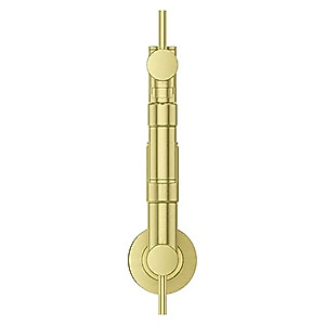 Pfister Lita Pot Filler Kitchen Faucet, 2-Handle, Wall Mounted, Single Hole, Brushed Gold Finish, GT533PFBG