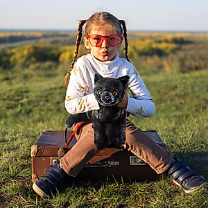 YZXZM Black Cat Plush, Realistic Black Cat Stuffed Animal Pillow, Cute Plush Toy Gifts for Birthday/Halloween/Christmas, 9 inch