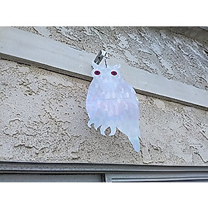 Holographic Owl Bird Deterrent- Scares Birds Away from Buildings, patios, Balconies and Gardens
