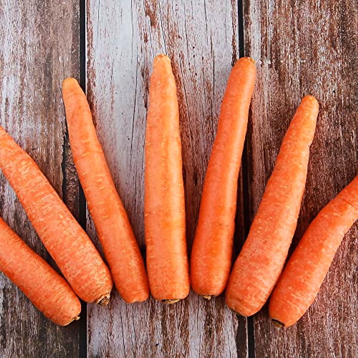 Big A Carrot Fertilizer and Root Vegetable Fertilizers – 13.5oz Premium Fertilizer for Vegetable Garden – Organic Plant Food for Indoor and Outdoor Plants – Nutritious Organic Fertilizer for Fruits, Vegetables