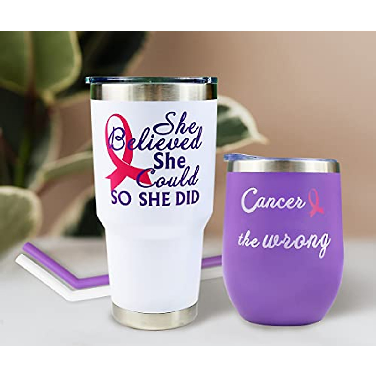 Breast Cancer Gifts for Women,Encouragement Gifts for Women,Christmas Gifts,She Believed She Could So She Did,Breast Cancer Tumbler,Breast Cancer Awareness Gifts for Women,Breast Cancer Survivor Gifts