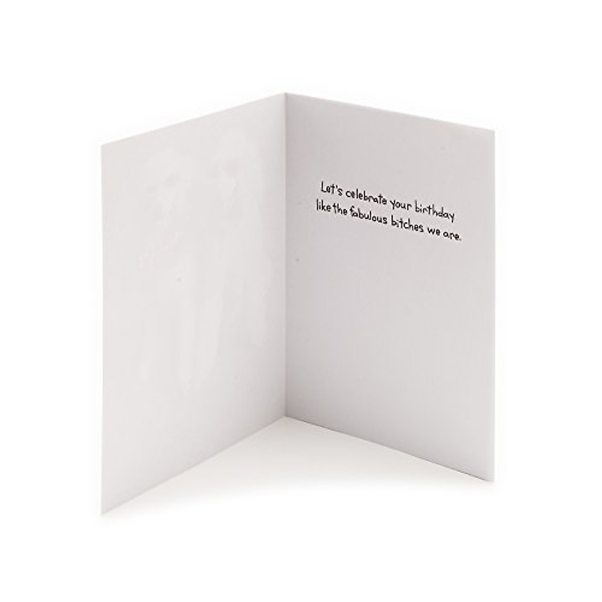 Hallmark Shoebox Friends Birthday Card