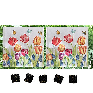20-ct 6.5 Tulip Mother's Day Decorative Napkins for Decoupage Butterfly Napkins Floral Napkins Paper Floral Paper Napkins Lunch Dinner Pretty Flower Napkins Wedding Birthday Tea Valentine Napkins
