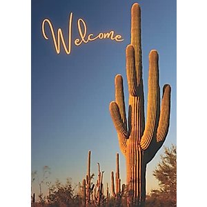 Welcome: Southwest Guest Book for Desert Vacation Home with Hardcover Cactus Desert Theme - Arizona Utah New Mexico Baja California