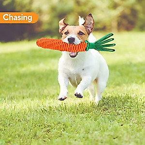 LIFLIX Dog Rope Toy, Tug of War Dog Toy, Cute Carrot Dog Toy with Crinkle Paper Tags
