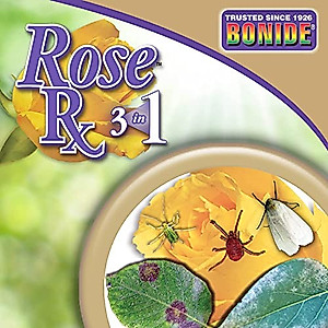 Rose Rx 3-In-1 Conc 16oz