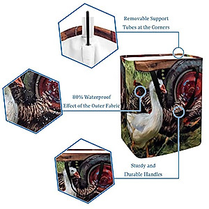 Farm Animals Goose Chinckens Painting Print Collapsible Laundry Hamper, 60L Waterproof Laundry Baskets Washing Bin Clothes Toys Storage for Dorm Bathroom Bedroom