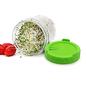 GDFYMI Sprouting Lids for Wide Mouth Mason Jars, Plastic Canning Jar Strainer Lids, Mason Jar Pour Spout Lid, Bean Screen Microgreens Growing Kit Suit for Grow Bean Sprouts (86mm, 3 Green + 3 Blue)