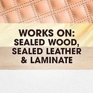 Pledge Wood Oil, Expert Care, Trigger, Orange Scent, 16 oz. (Pack of 4)