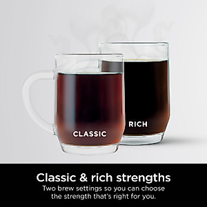 Ninja CE251 Programmable Brewer, with 12-cup Glass Carafe, Black and Stainless Steel Finish