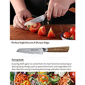 Paring Knife 3.8Inch Damascus Steel Knife Professional Super Steel VG10 Comfortable Ergonomic Wood Grain Handle Very Sharp Paring Knives for Kitchen–Gift Box