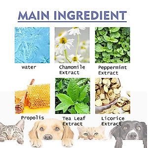 Lettuce Pets Toothbrush, Lettuce Pets Dog Toothbrush, Lettuce Pet Oral Repair Gel for Dogs, Lettuce Comfy Toothbrush Pen, Lettuce Pet Toothbrush Pen, For Dog Cats Dental Care Fresh Breath (2 pcs, 1)